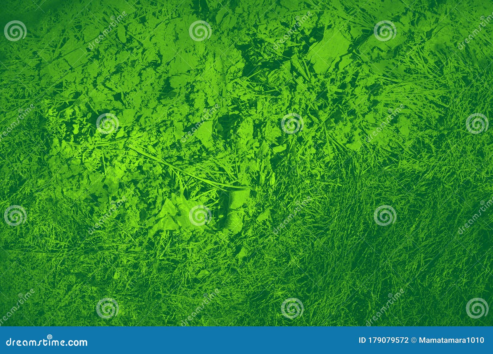 Abstract Green Bright Color Background for Design Stock Photo - Image ...