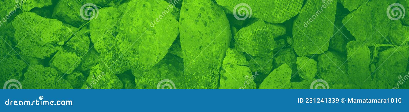 Abstract Green Bright Color Background for Design Stock Image - Image ...