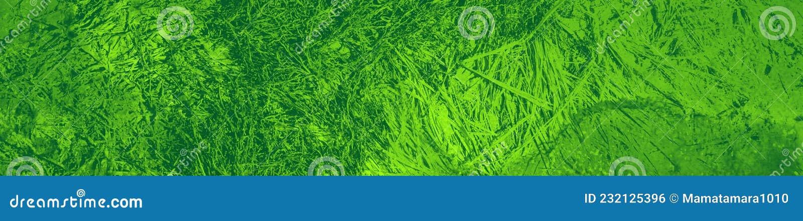 Abstract Green Bright Color Background for Design Stock Photo - Image ...