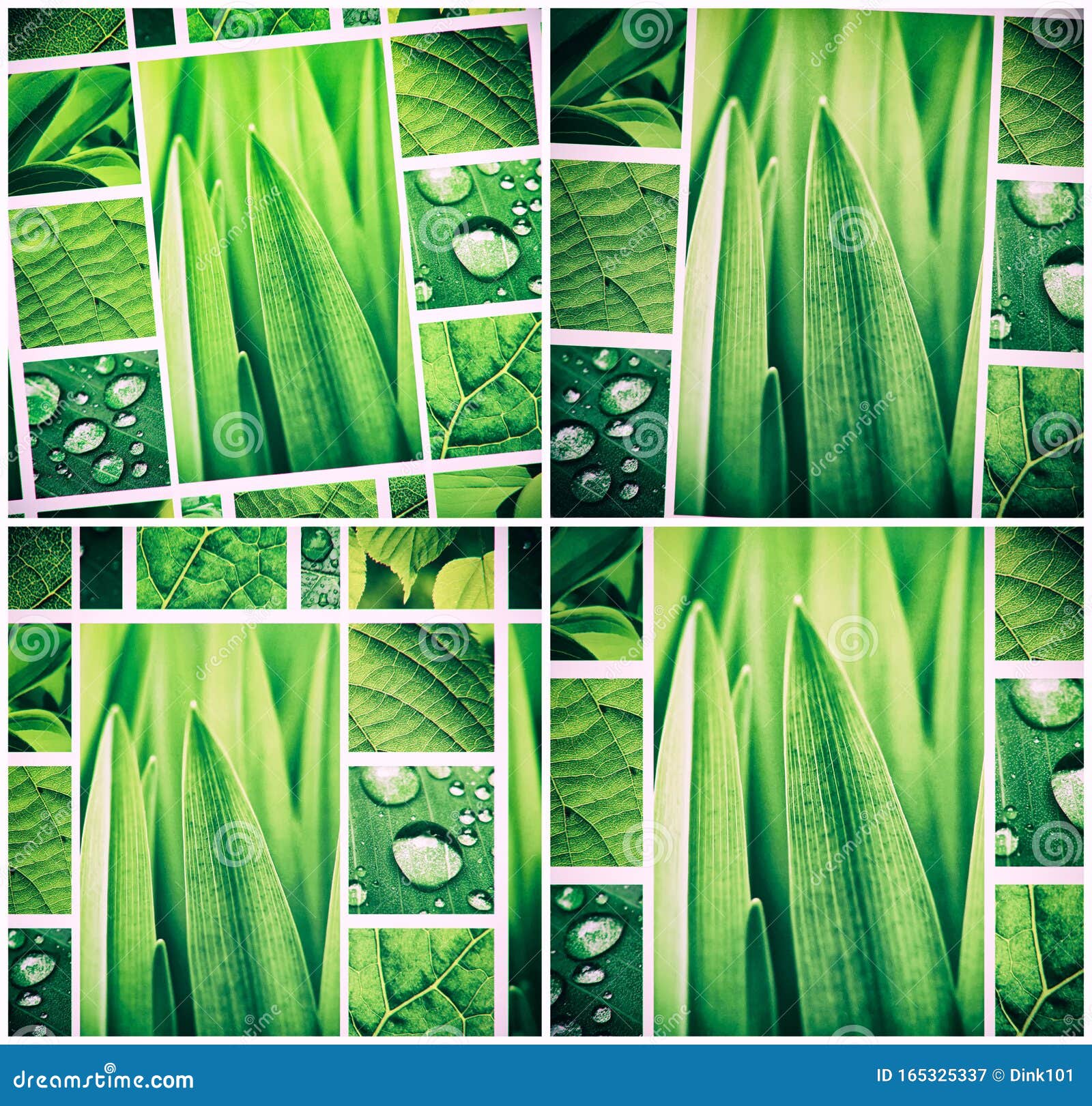 Abstract Green Collage with Fresh Green Plants and Leaves Stock Image ...