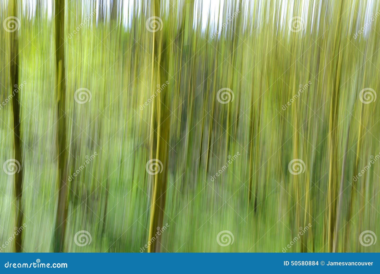 Abstract Green Forest Motion Blur Background Stock Photo - Image of ...