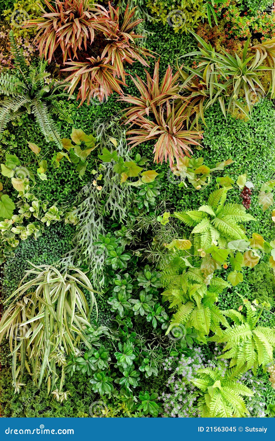 Abstract Green Garden Background Stock Image - Image of flower, grow ...