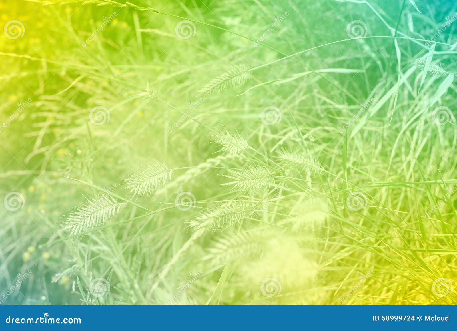 Abstract Green Grass Background with Color Filters Stock Photo - Image ...