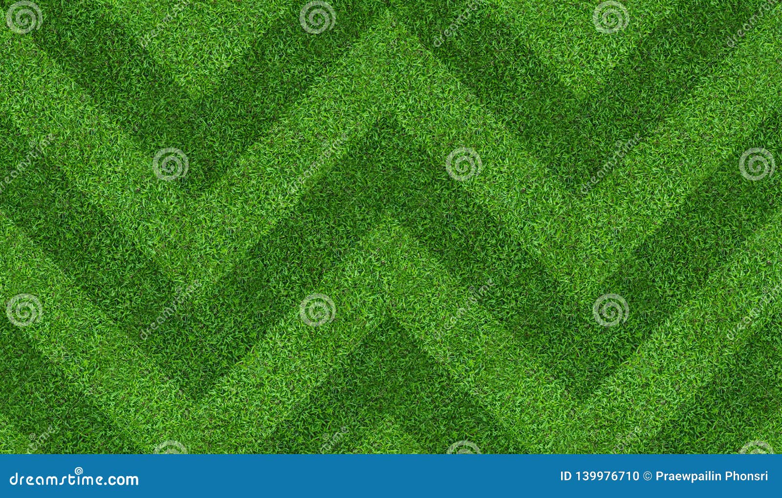 Abstract Green Grass Field Background. Green Lawn Pattern and Texture ...
