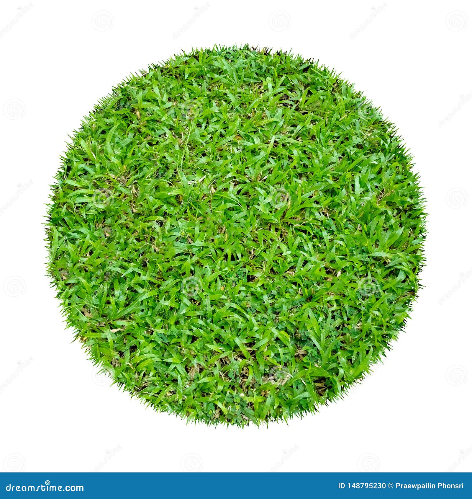 Abstract Green Grass Texture for Background. Circle Green Grass Pattern ...