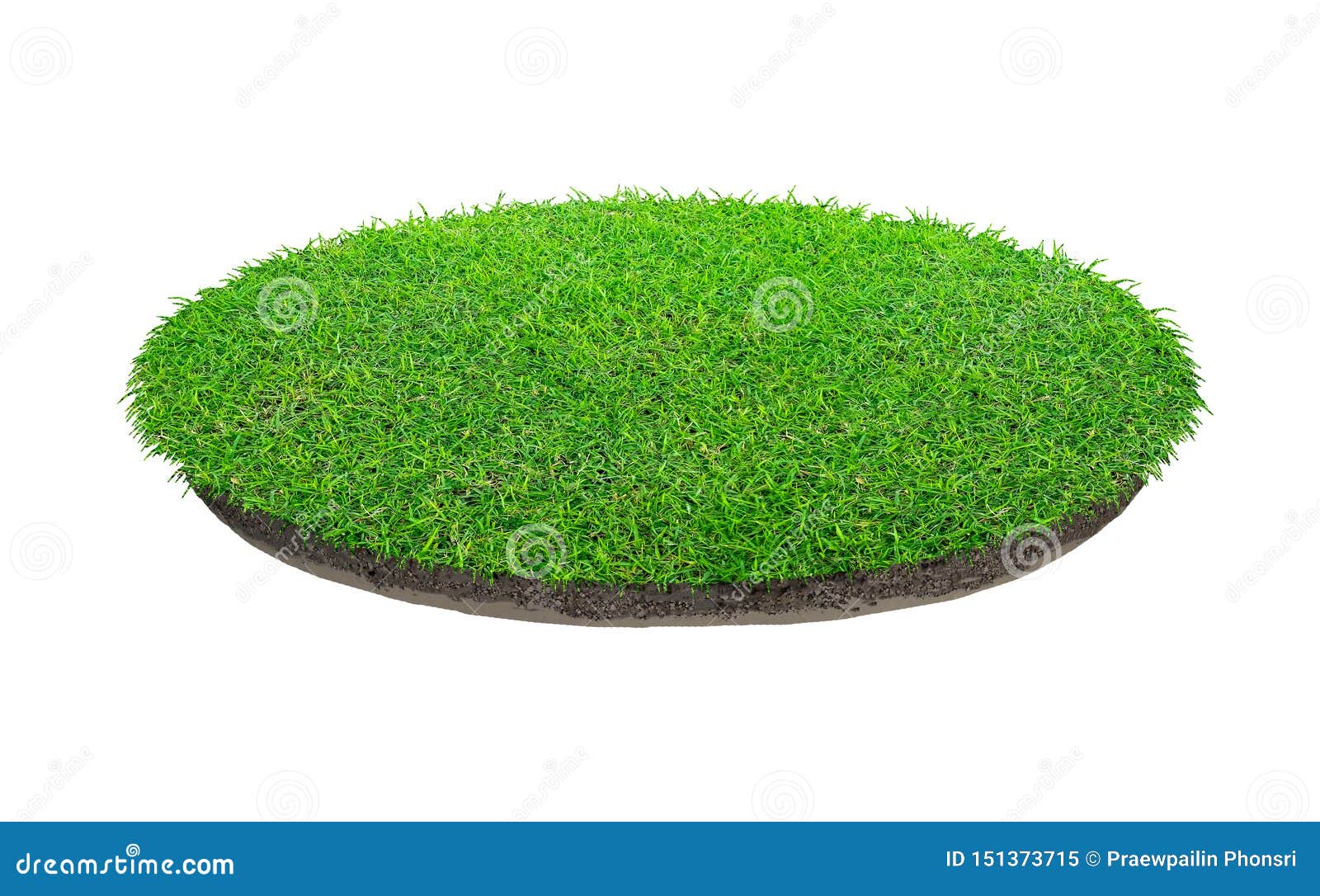 Abstract Green Grass Texture for Background. Circle Green Grass Pattern ...