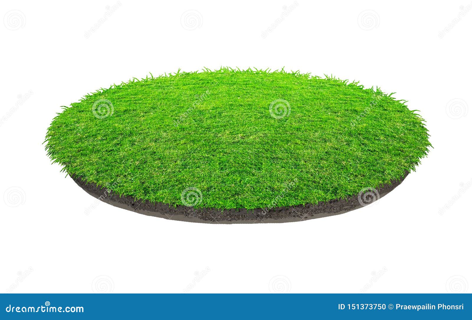 Abstract Green Grass Texture for Background. Circle Green Grass Pattern ...