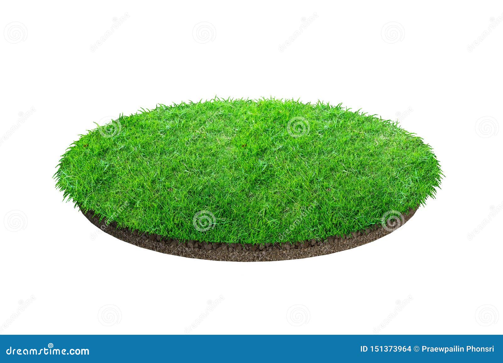 Abstract Green Grass Texture for Background. Circle Green Grass Pattern ...