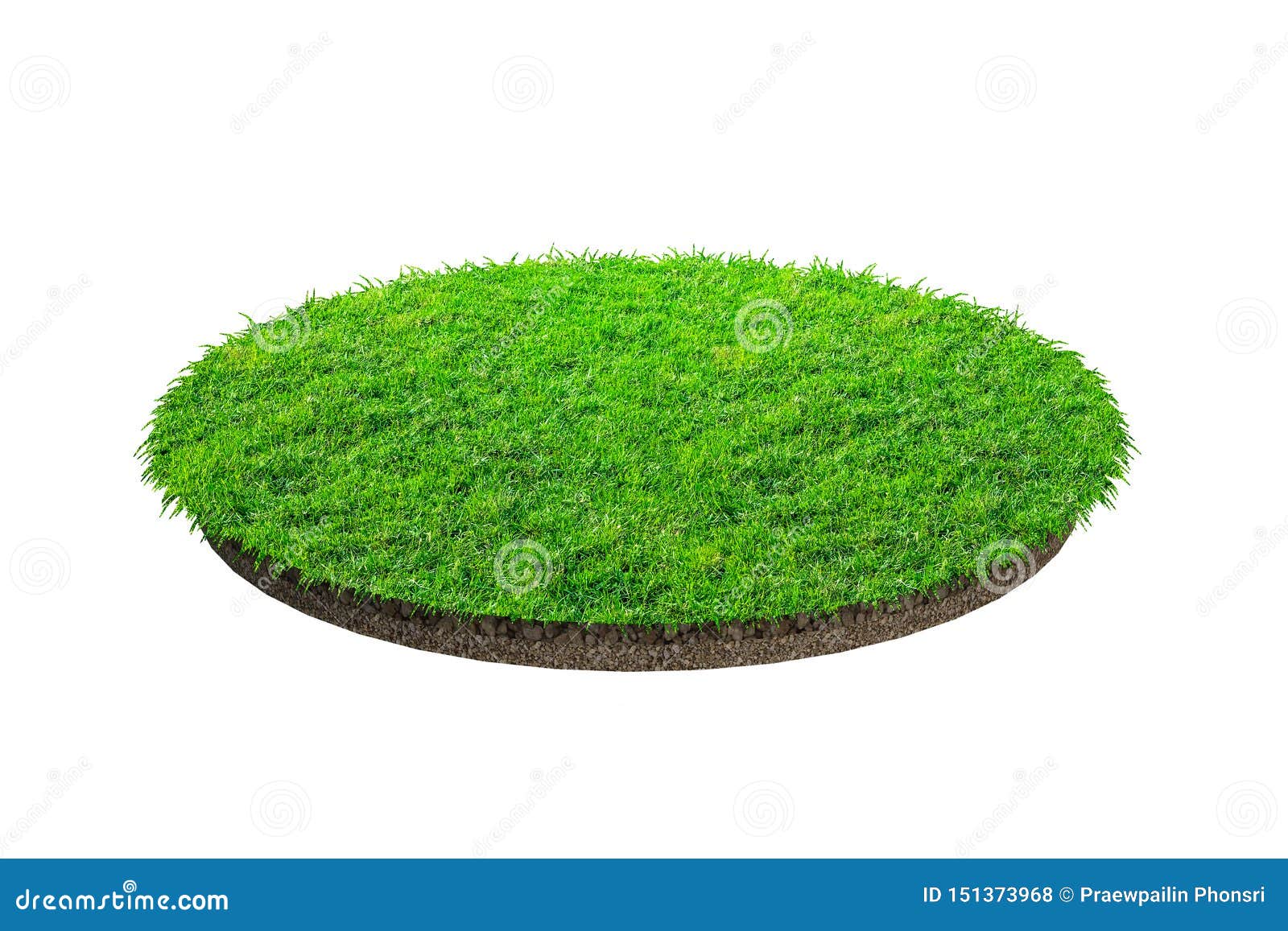 Abstract Green Grass Texture for Background. Circle Green Grass Pattern ...