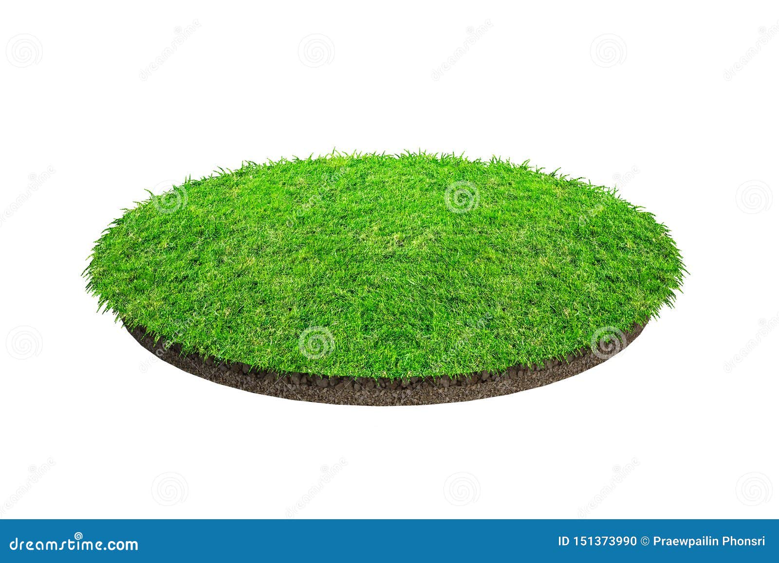 Abstract Green Grass Texture for Background. Circle Green Grass Pattern ...
