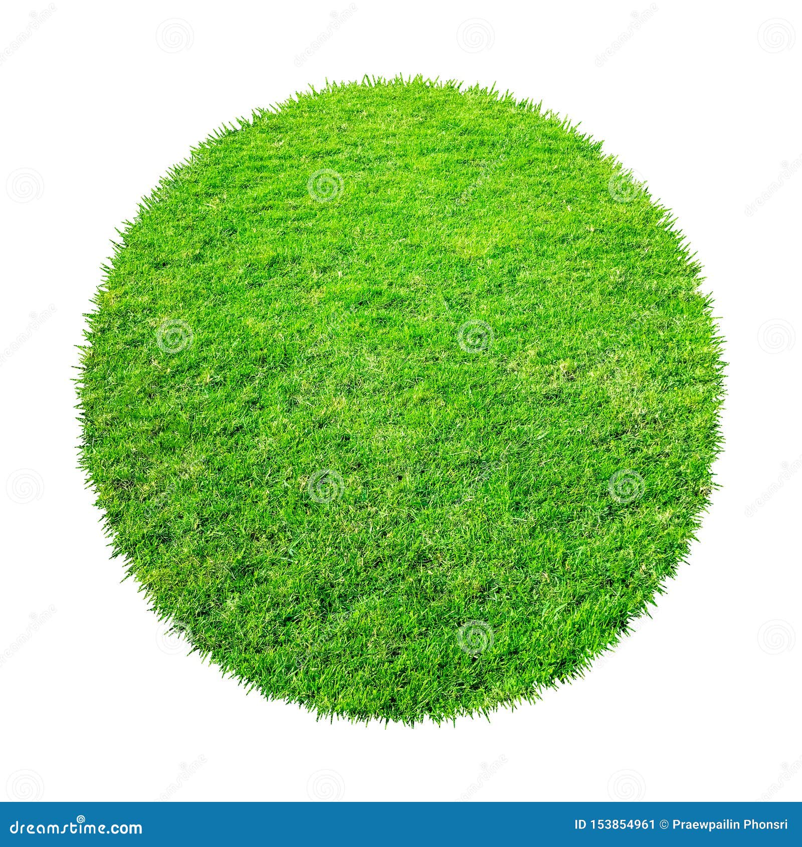 Abstract Green Grass Texture for Background. Circle Green Grass Pattern ...