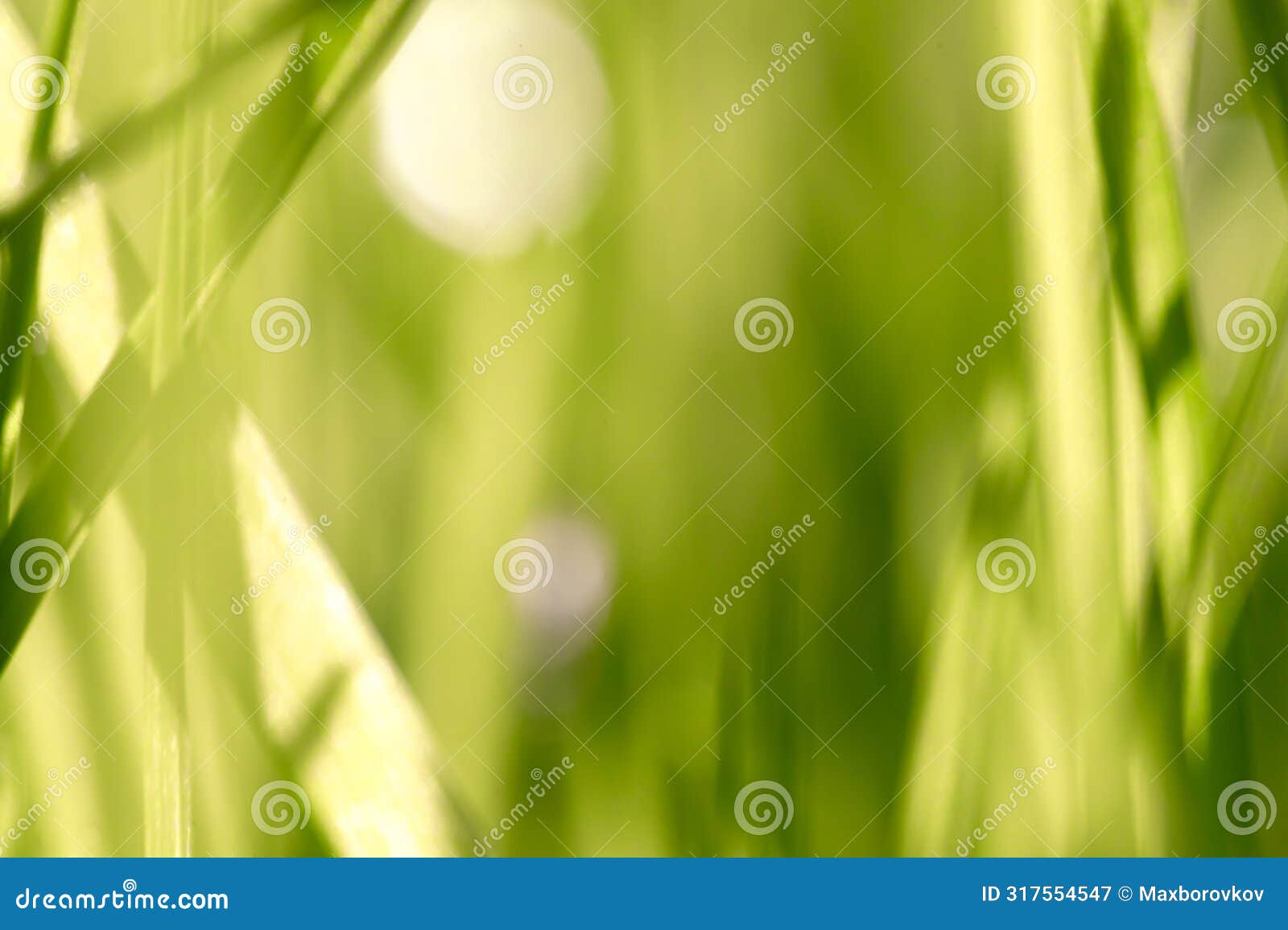Abstract Green Grass Texture Stock Image - Image of bright, light ...
