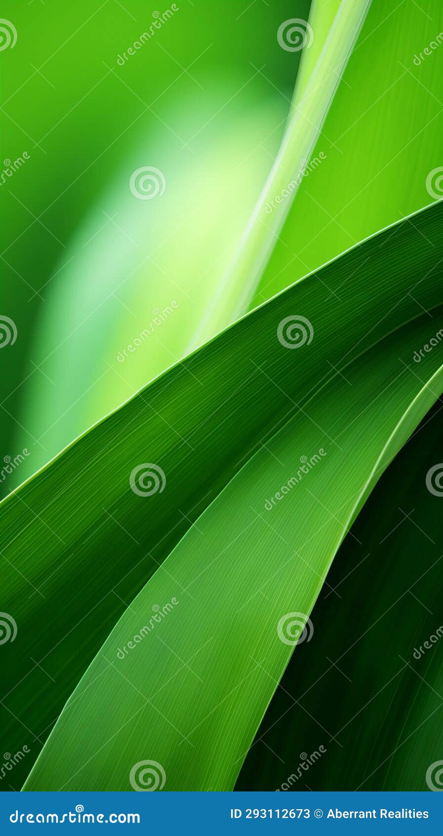 Abstract Green Leaf Background Stock Illustration - Illustration of ...