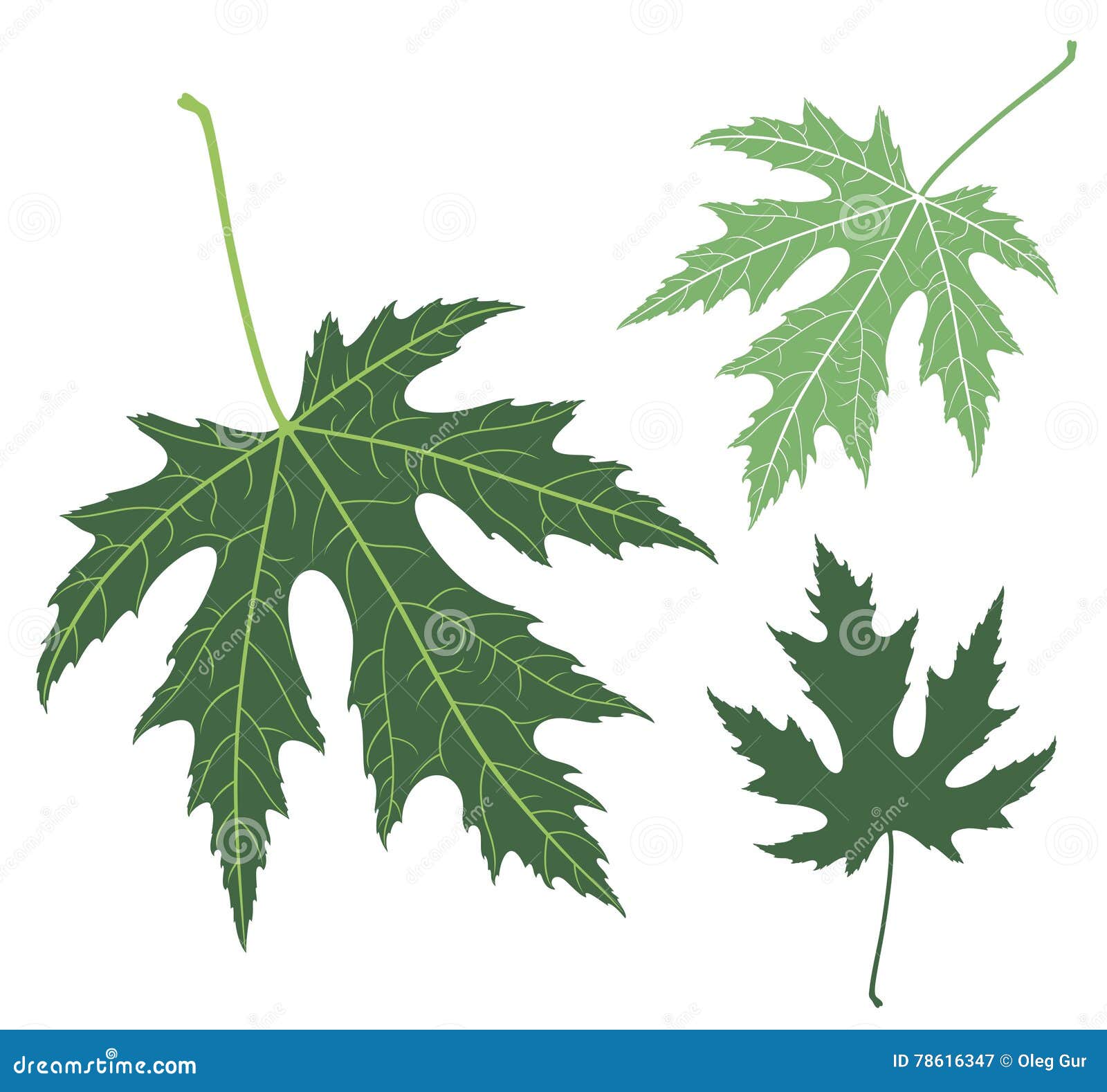 Abstract Green leaf. Maple stock vector. Illustration of emblem - 78616347
