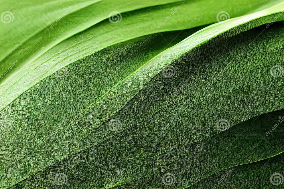 Abstract Green Leaf Shapes Pattern Background Digital Illustration ...