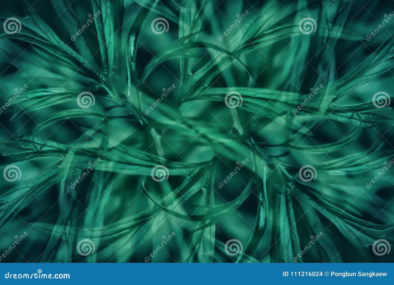 Abstract Green Leaves Texture Spring ,summer Nature Background Stock ...
