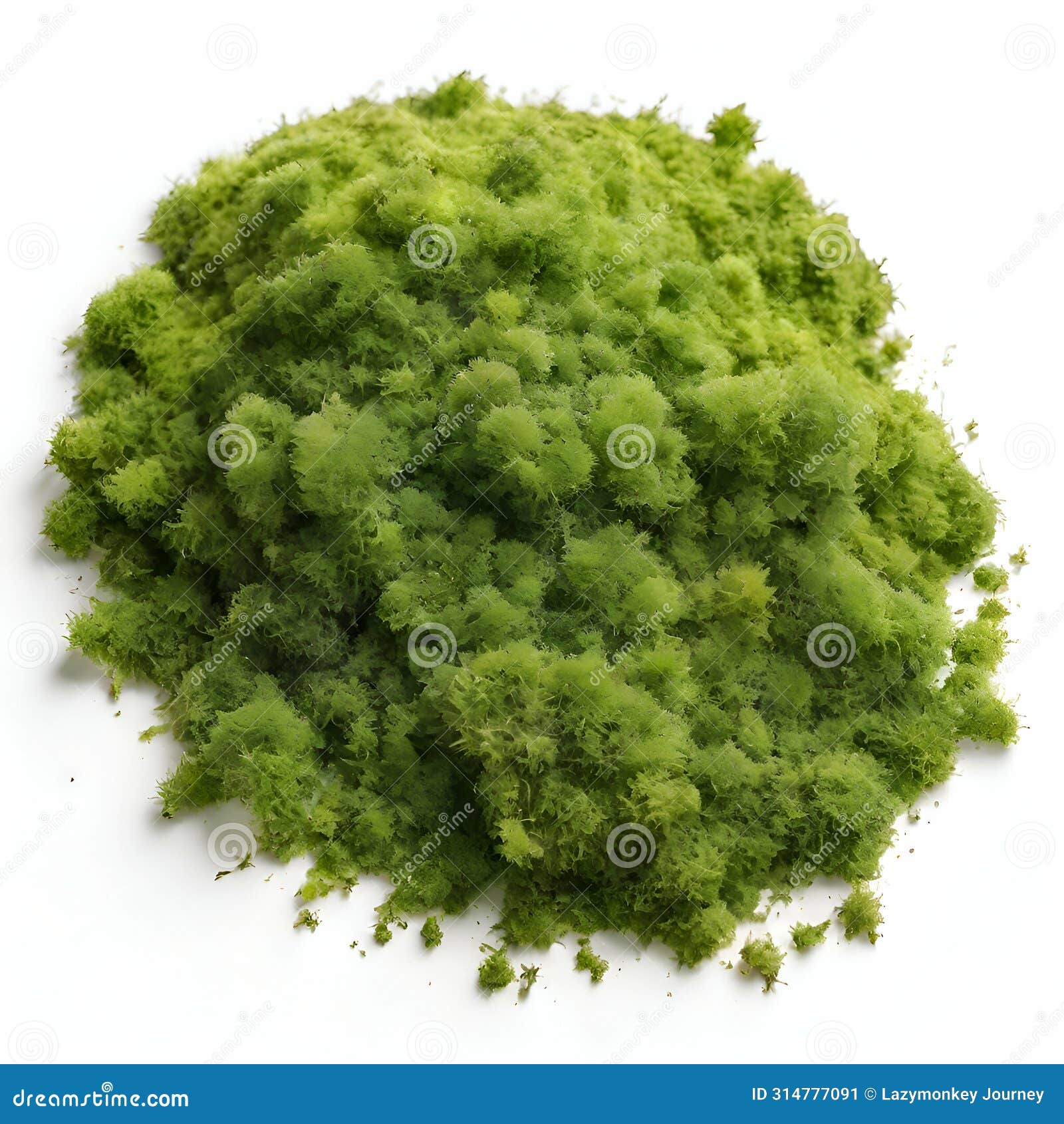 Abstract Green Moss on White Background Stock Illustration ...