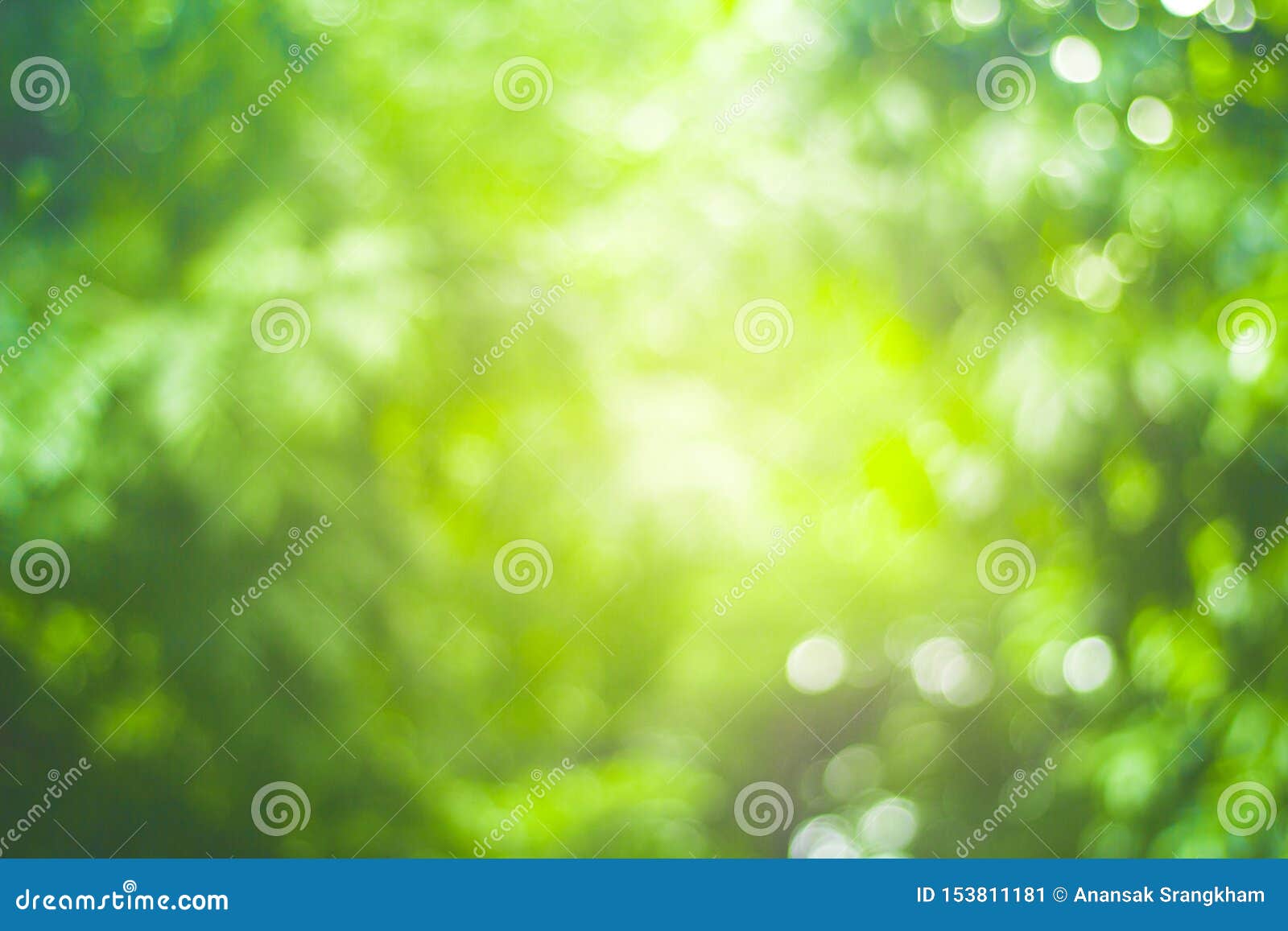 Abstract Green Nature Blur Background and Sunlight Stock Image - Image ...