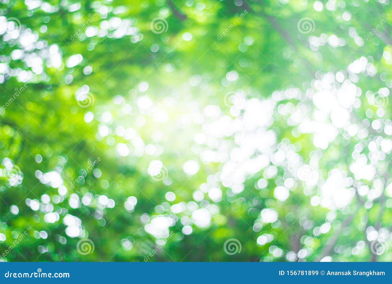 Abstract Green Nature Blur Background and Sunlight Stock Image - Image ...