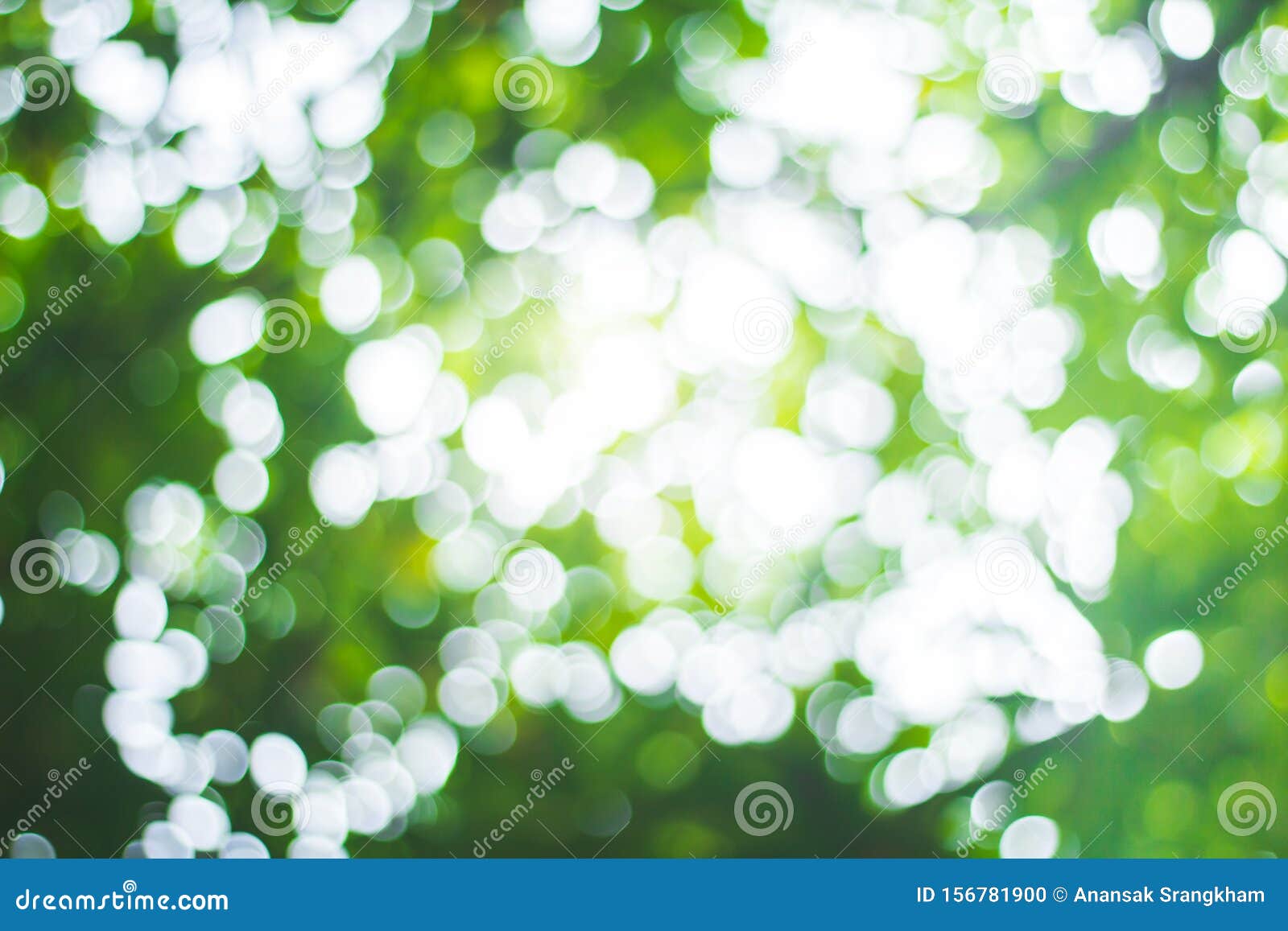 Abstract Green Nature Blur Background and Sunlight Stock Photo - Image ...