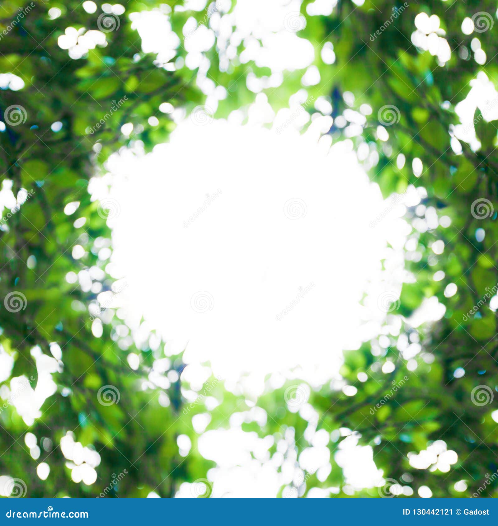 Abstract Green Nature Circle Frame Background Stock Image - Image of ...