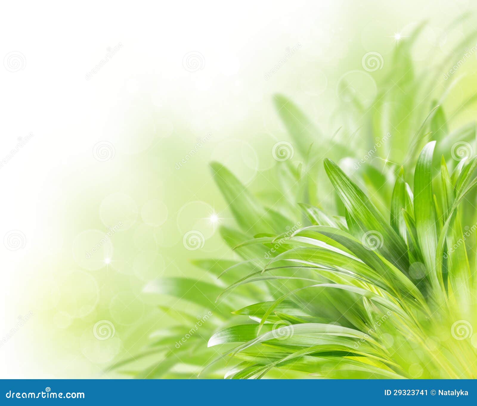 Abstract Green Spring Background Stock Image - Image of garden, flora ...