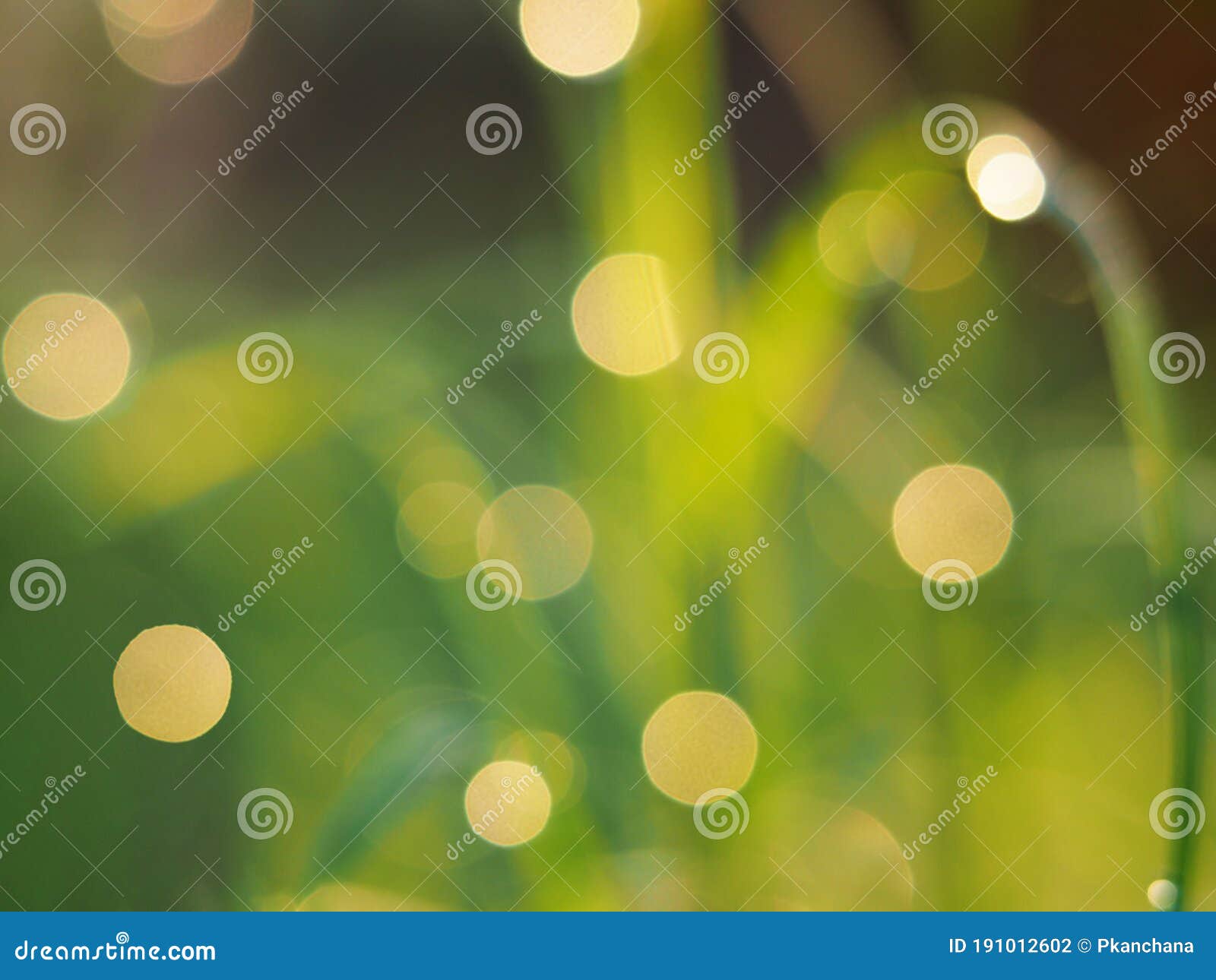 Abstract Green Springtime with White Bokeh Background Stock Photo ...
