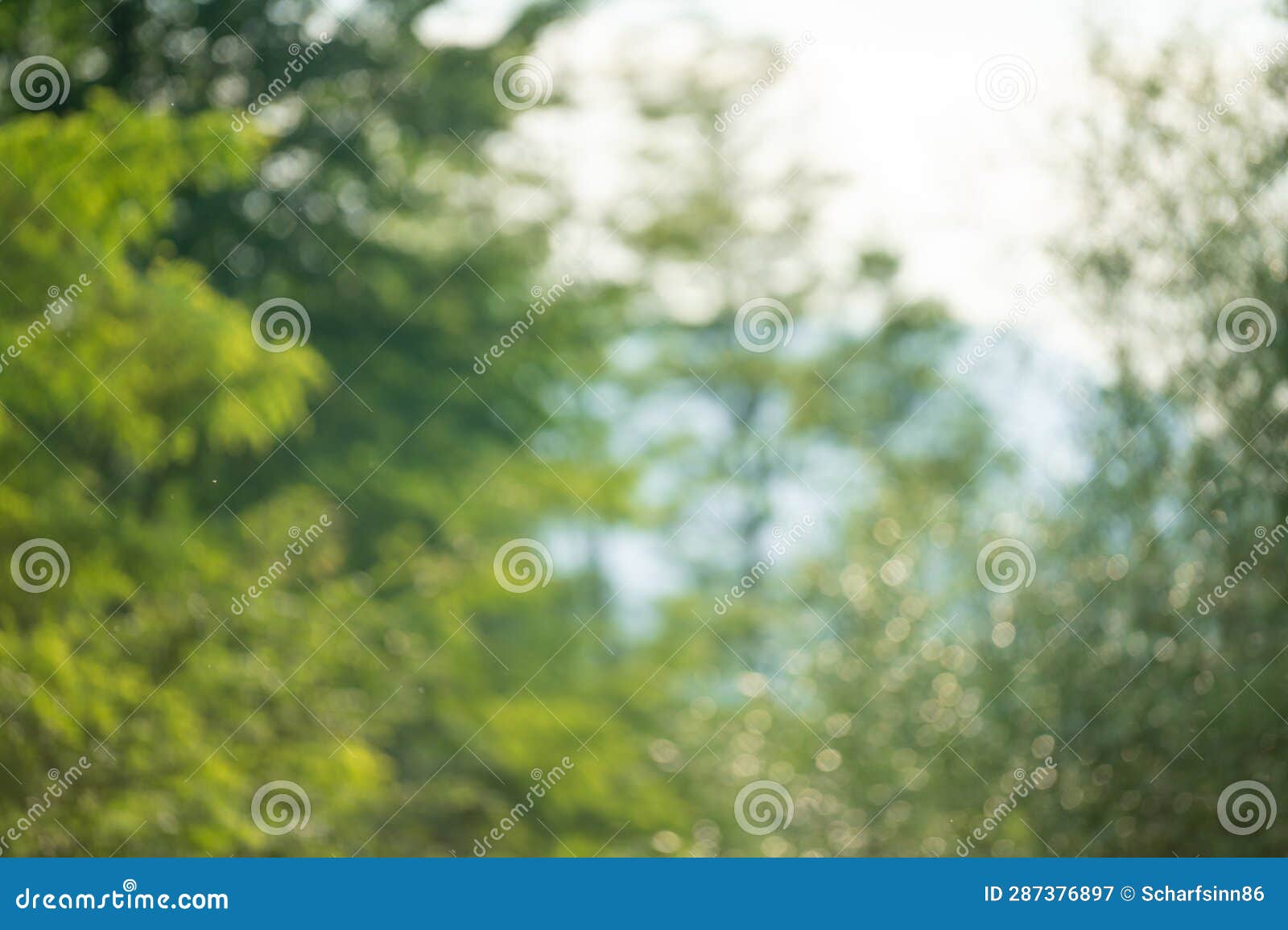 Abstract Green Summer Background Defocused Stock Image - Image of ...