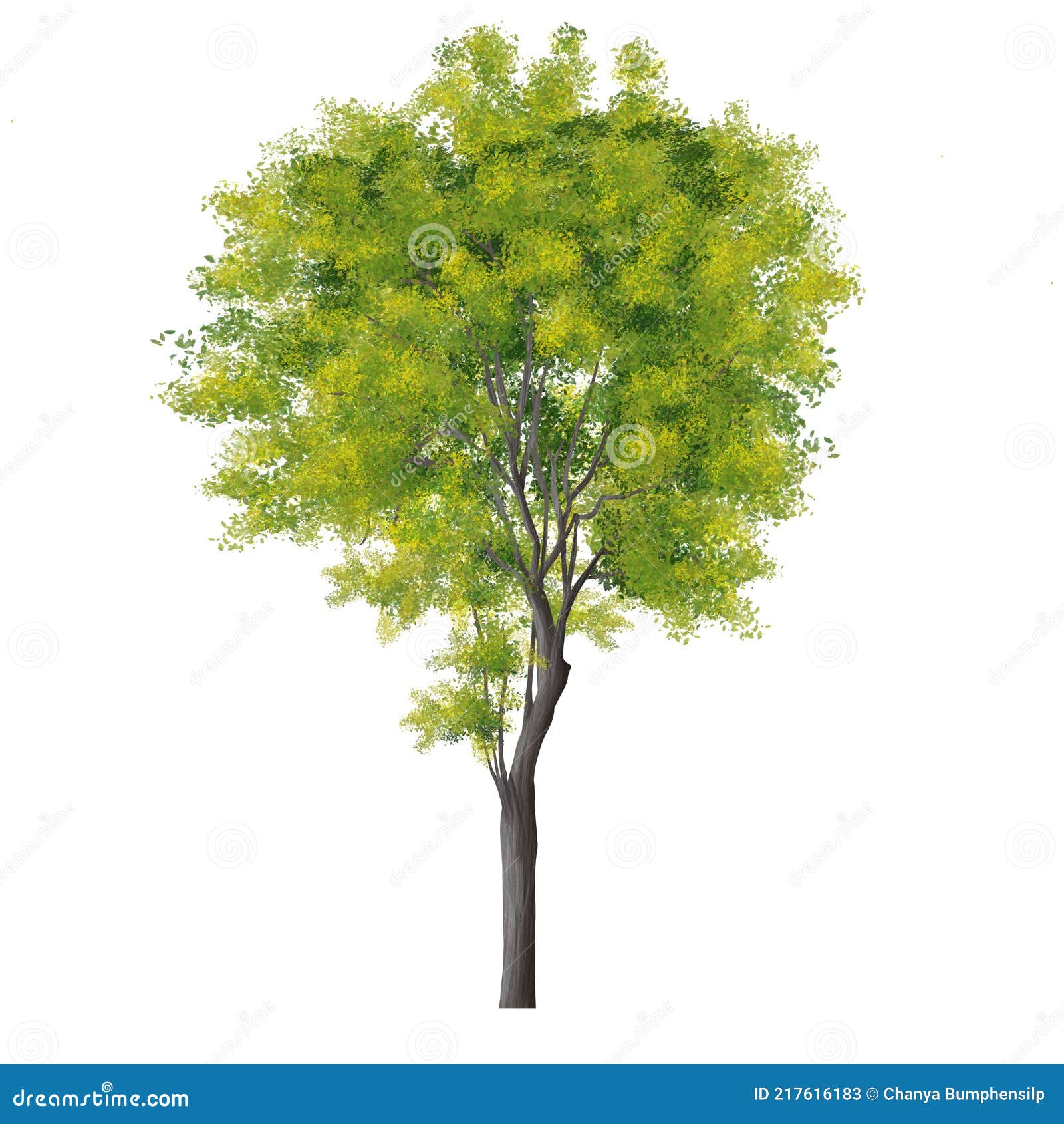 Abstract Green Tree Side View Stock Illustration - Illustration of plan ...