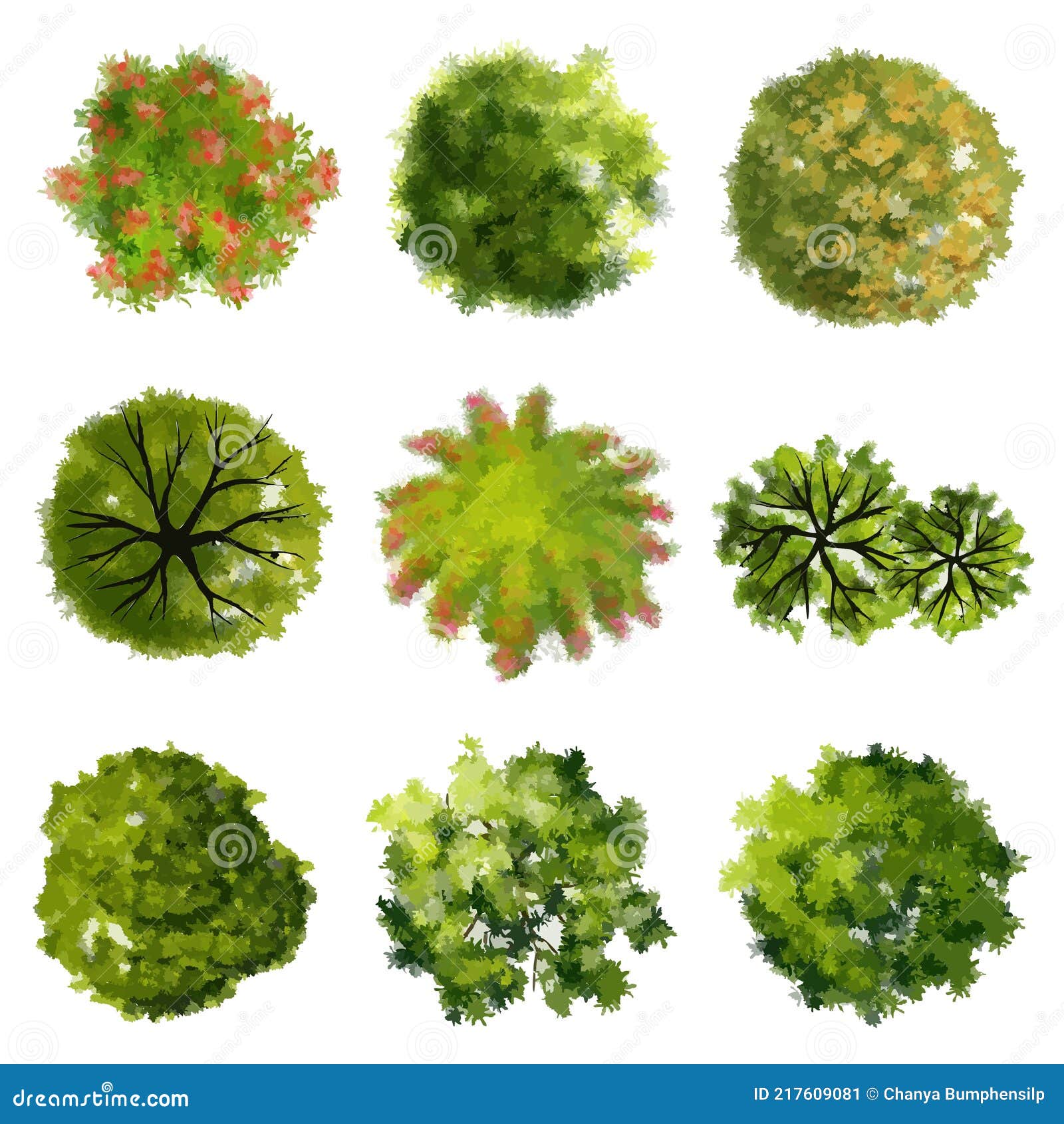 Abstract Green Tree Top View Stock Illustration - Illustration of ...