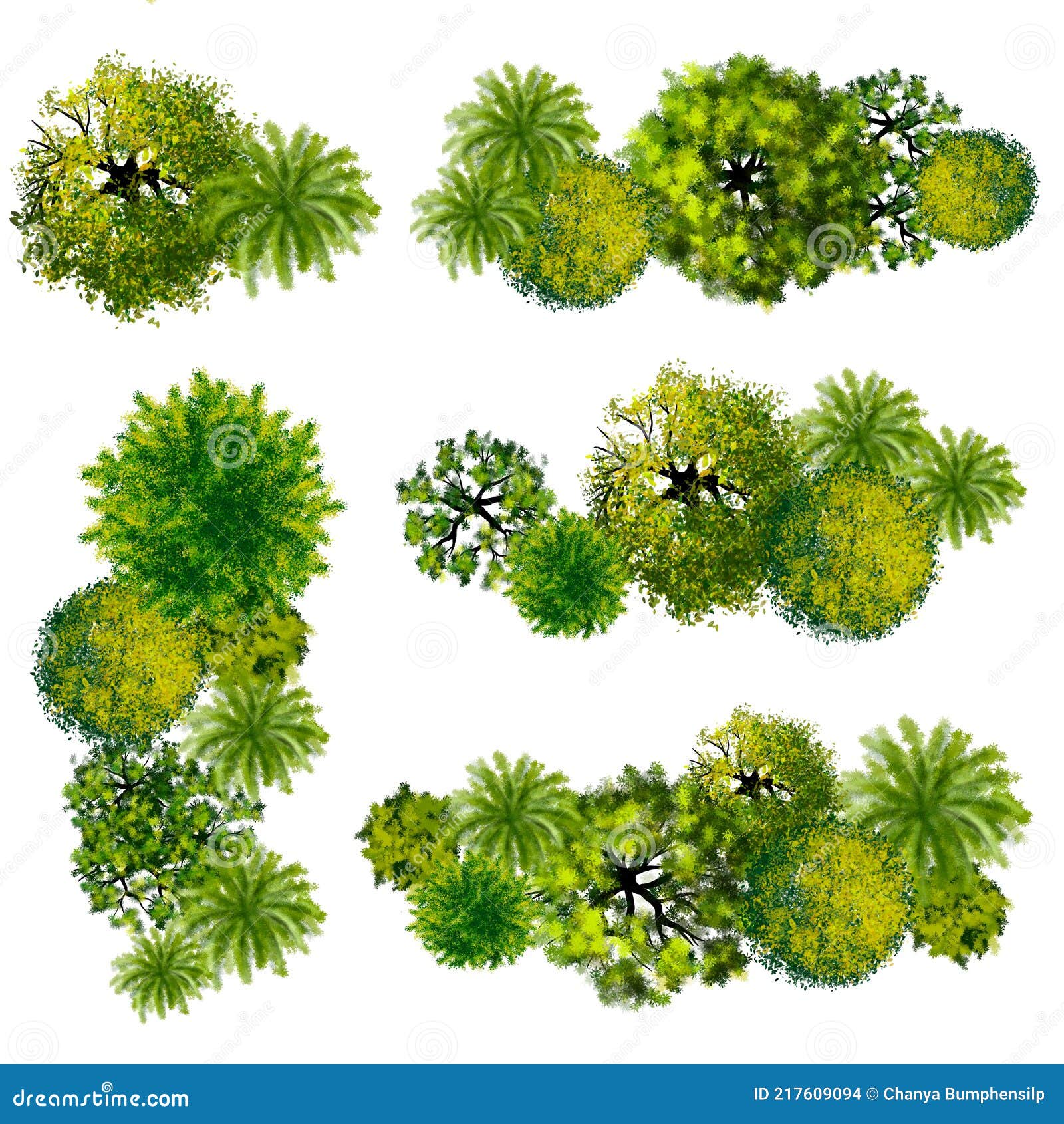 Abstract Green Tree Top View Stock Illustration - Illustration of ...