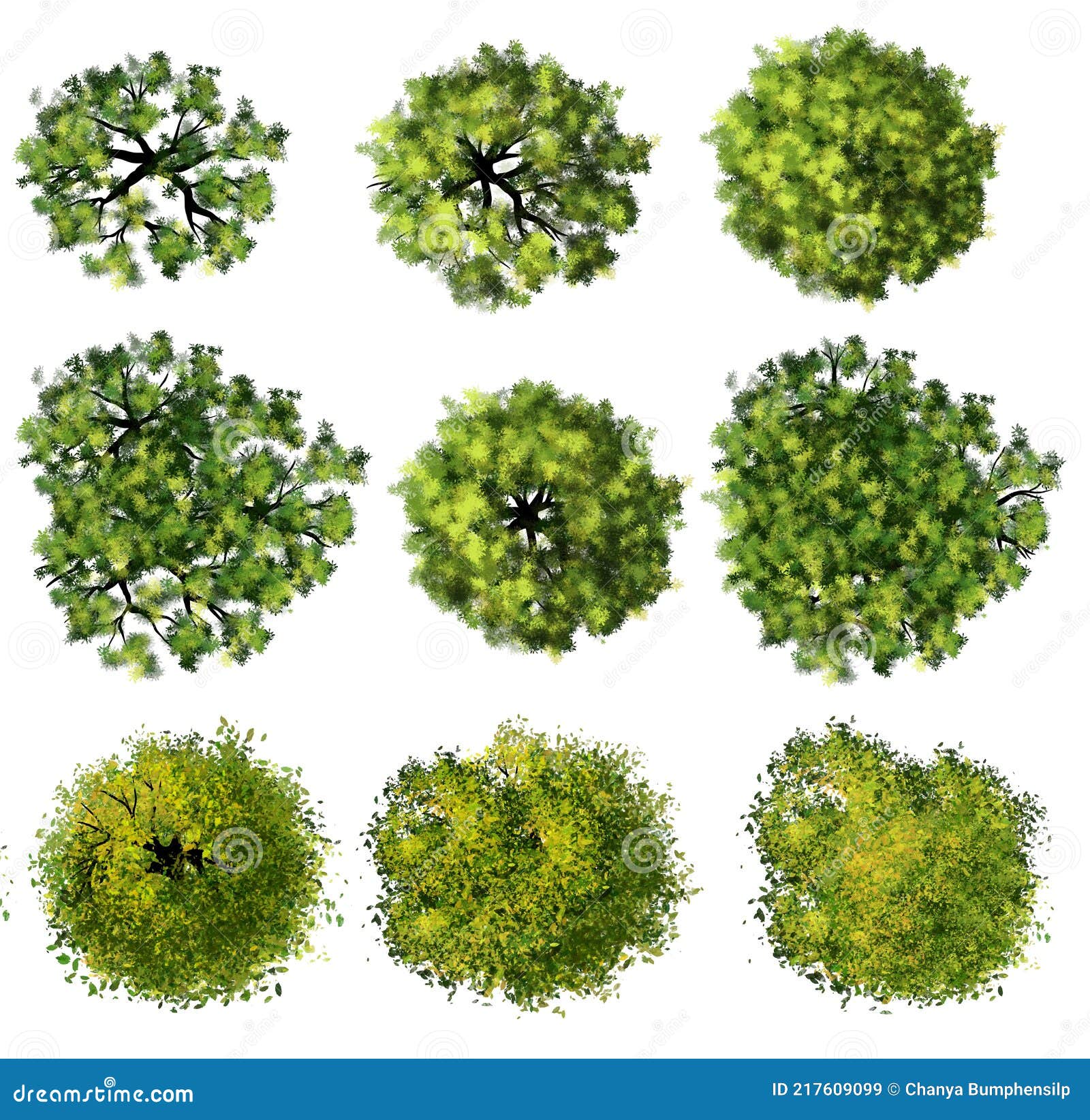 Abstract Green Tree Top View Stock Illustration - Illustration of ...