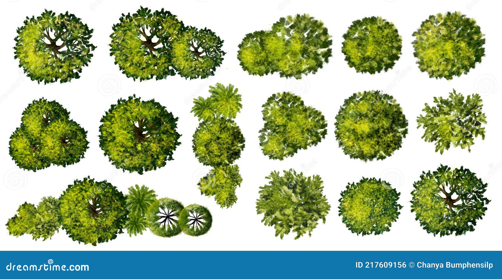 Abstract Green Tree Top View Stock Illustration - Illustration of ...