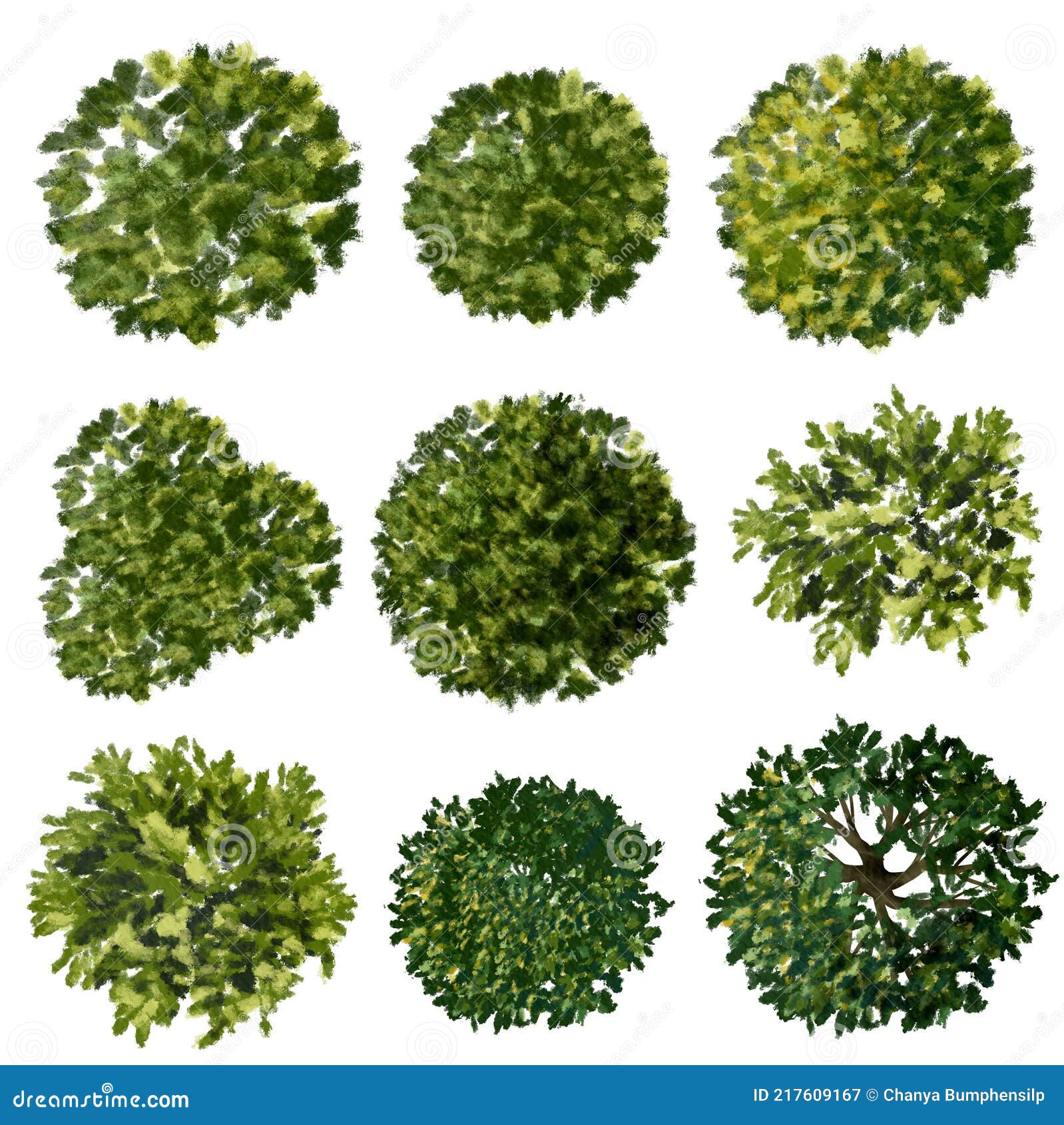 Abstract Green Tree Top View Stock Illustration - Illustration of view ... Abstract Green Tree Top View Stock Illustration - Illustration of view ...