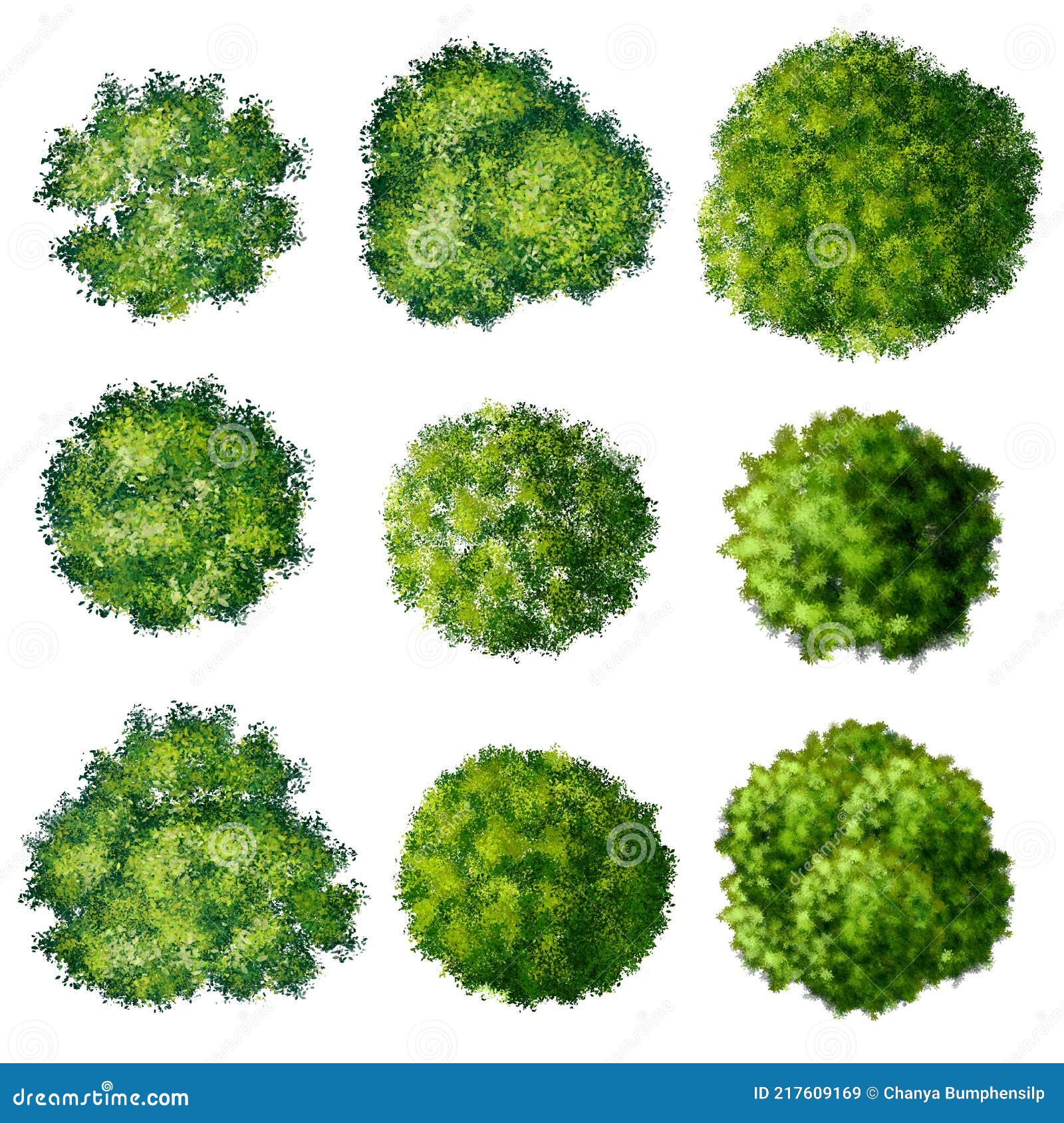 Abstract Green Tree Top View Stock Illustration - Illustration of ...