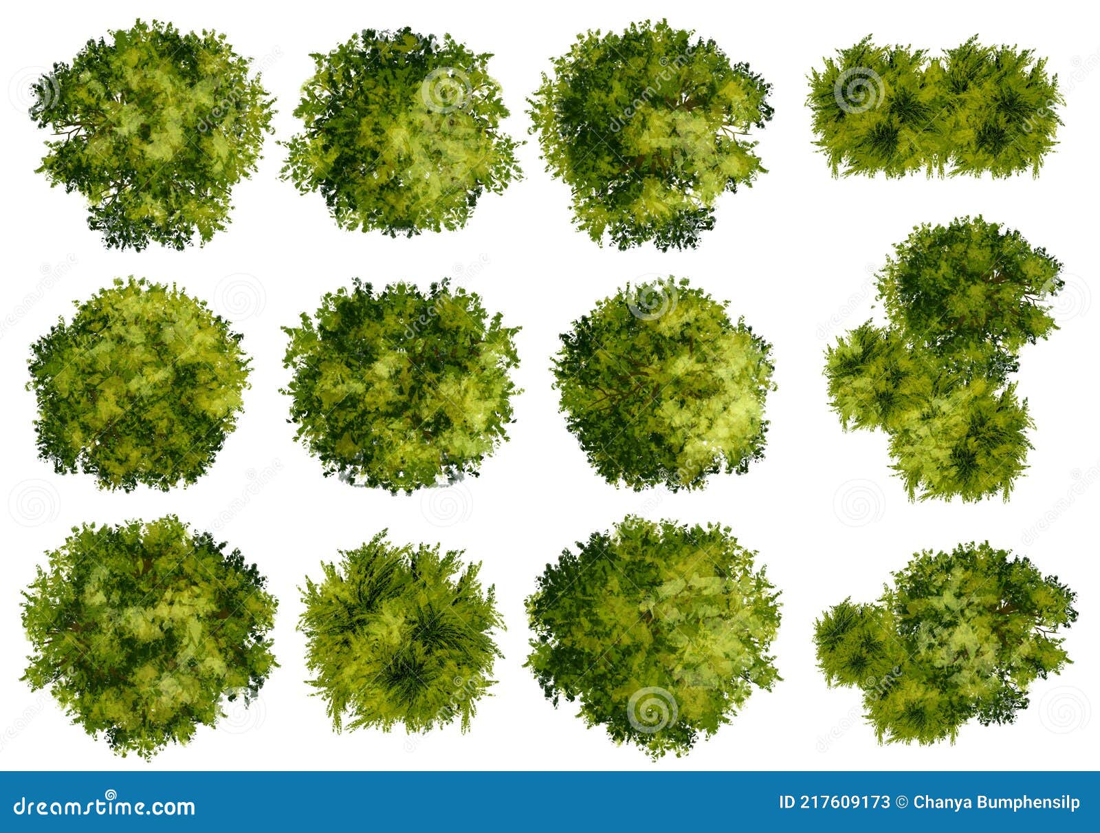 Abstract Green Tree Top View Stock Illustration - Illustration of ...