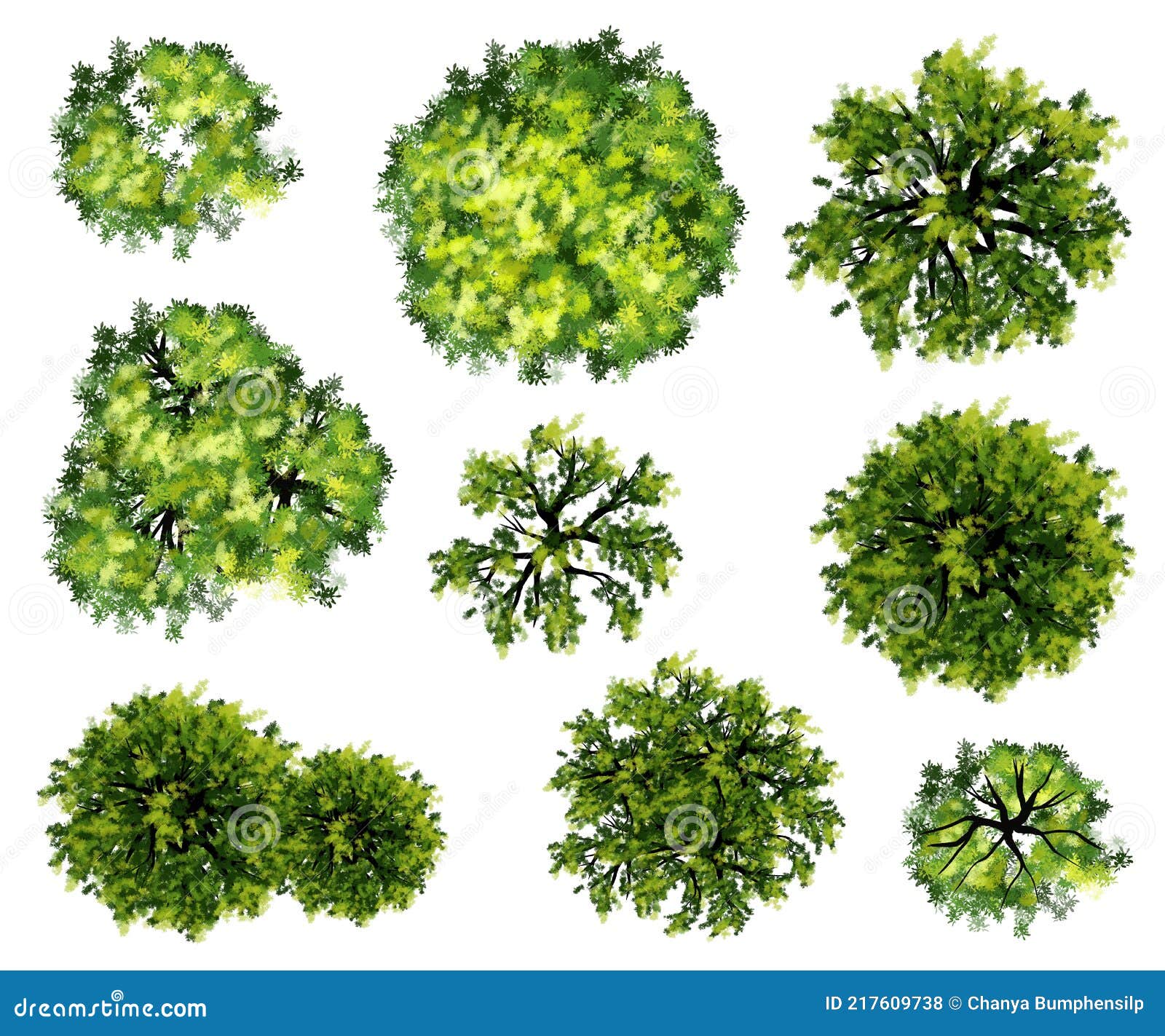 Abstract Green Tree Top View Stock Illustration - Illustration of ...