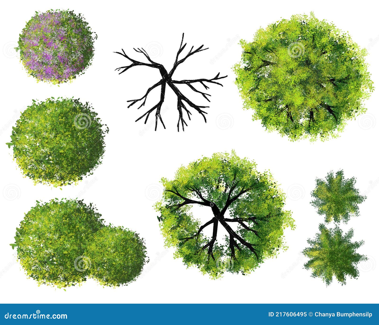 Abstract Green Tree Top View Stock Image - Image of vegetables, paper ...