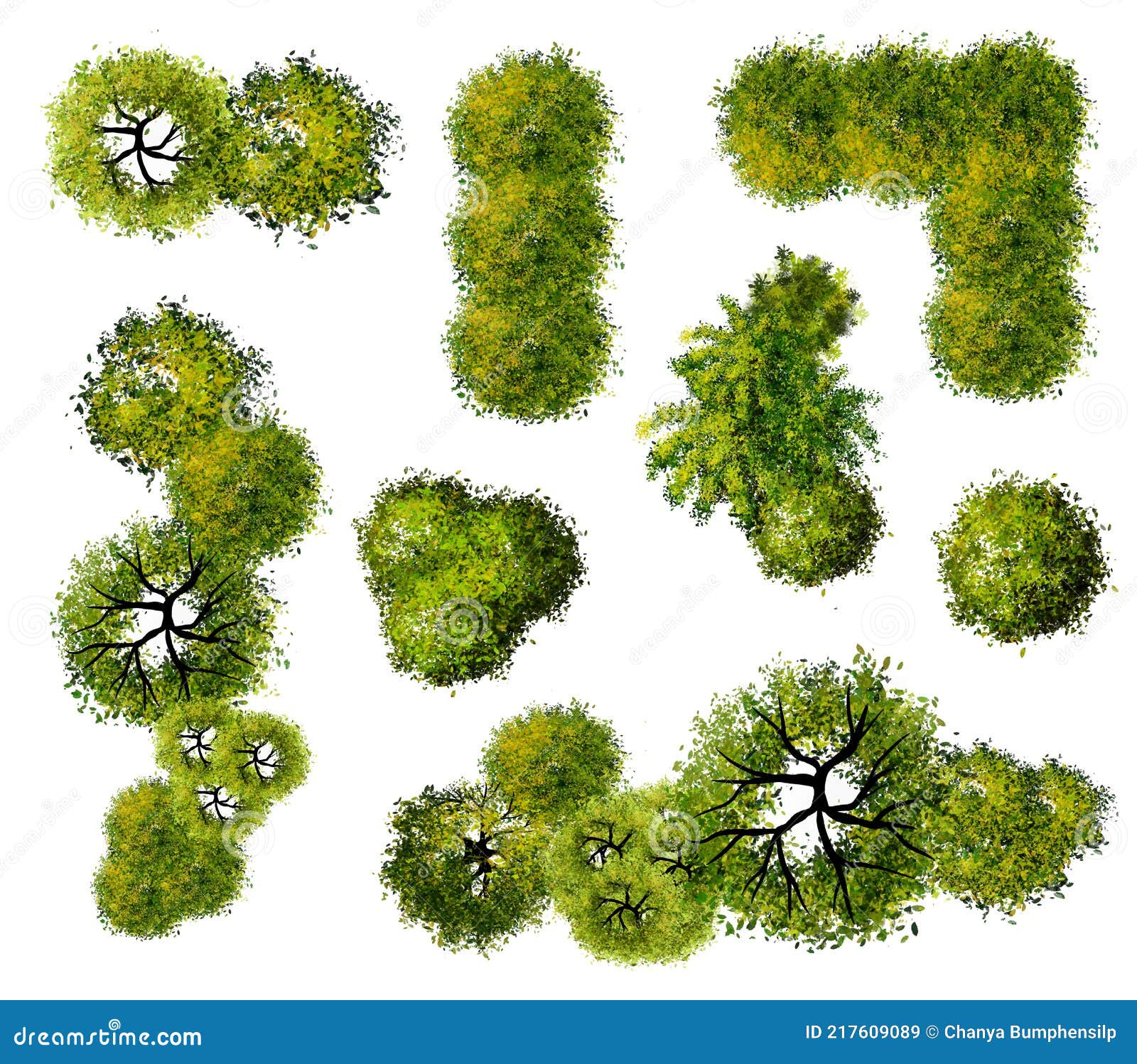 Abstract Green Tree Top View Stock Illustration - Illustration of ... Abstract Green Tree Top View Stock Illustration - Illustration of ...
