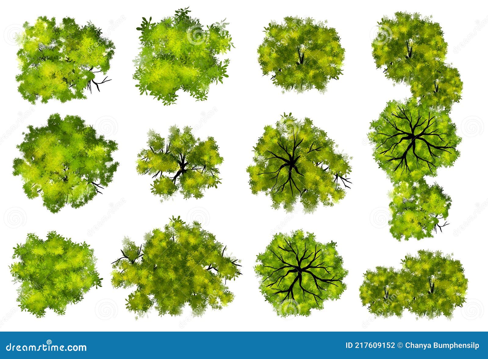 Abstract Green Tree Top View Stock Illustration - Illustration of tree ...