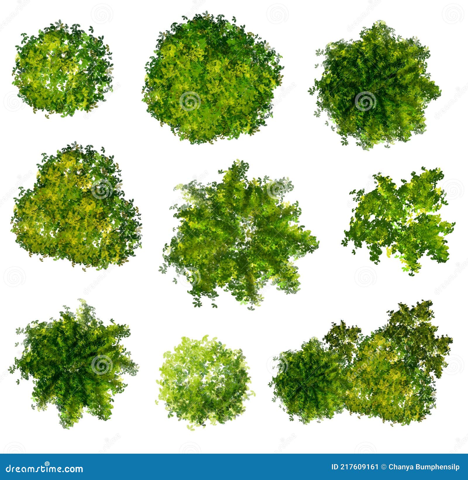 Abstract Green Tree Top View Stock Illustration - Illustration of ...