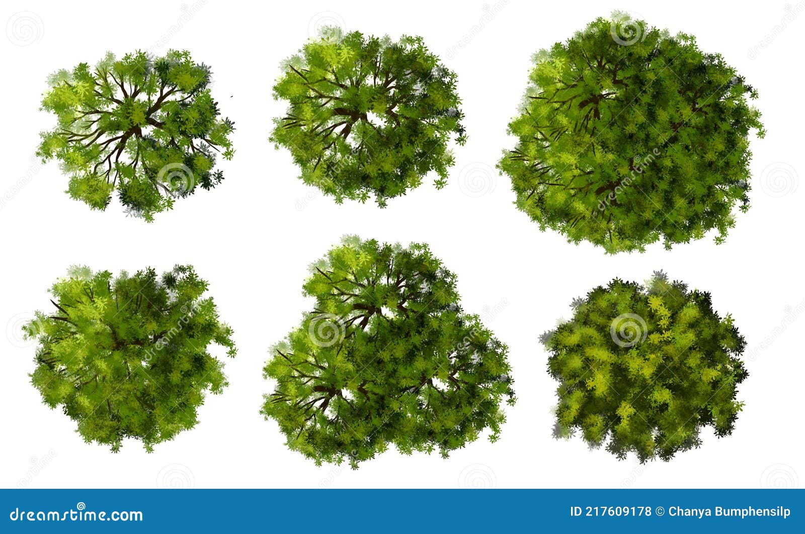 Abstract Green Tree Top View Stock Illustration - Illustration of ...