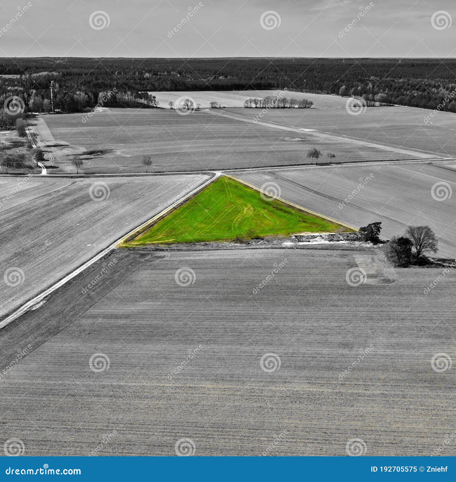 Abstract Green Triangle, Aerial View of a Green Triangular Meadow ...