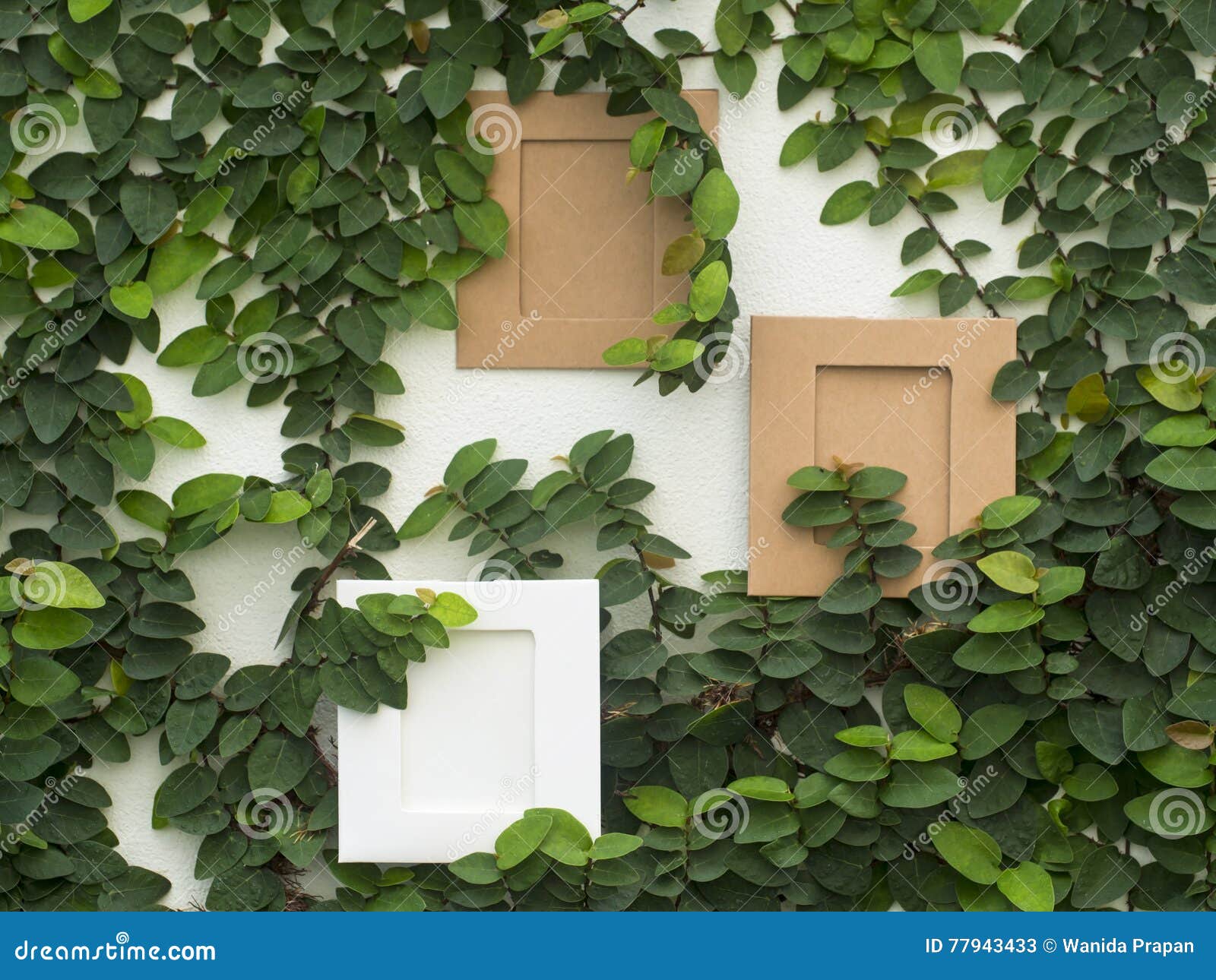 Abstract Green Wall with the Frame on the White Background Stock Image ...