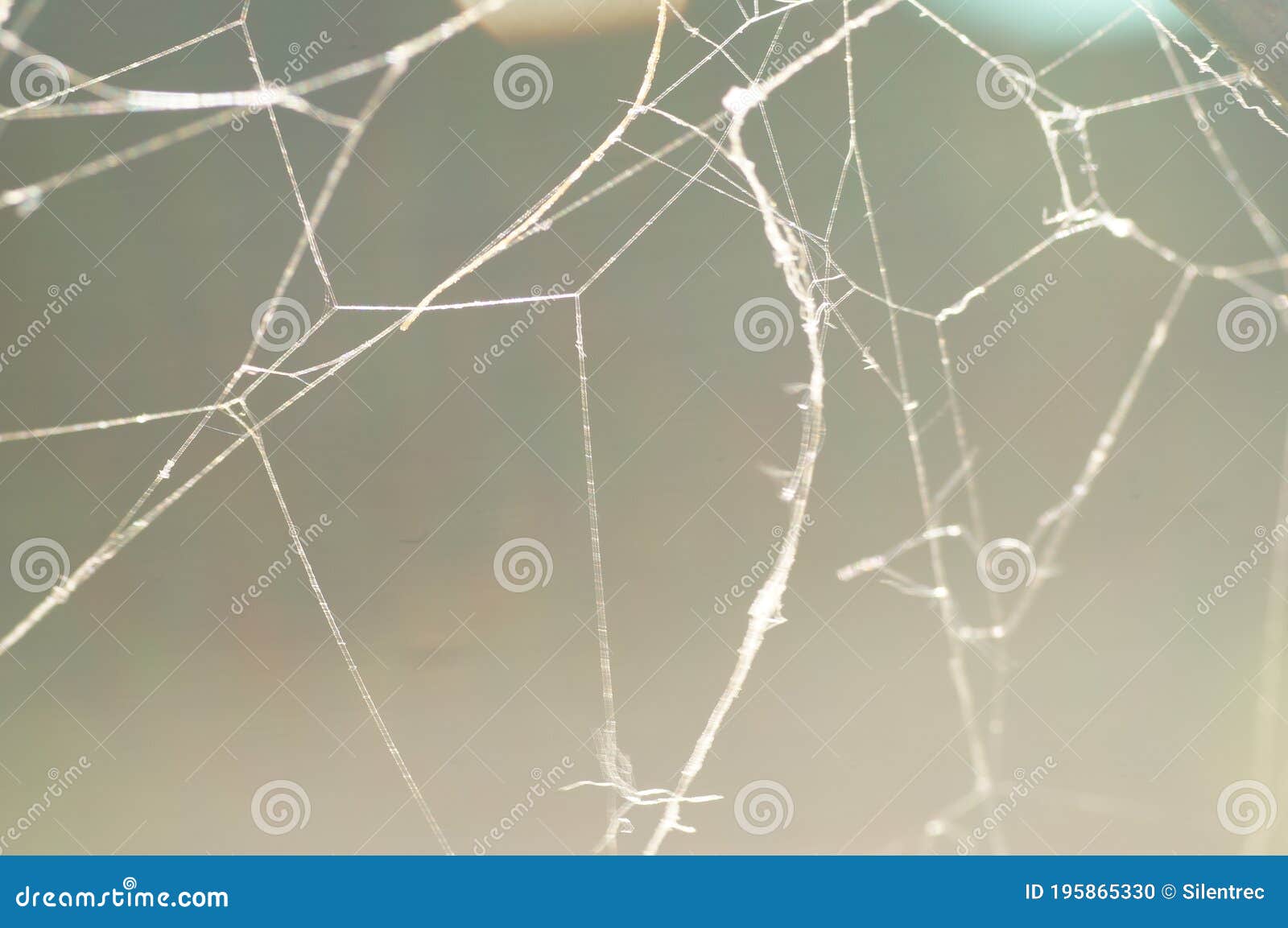 Abstract Grey Background with Pieces of an Old Cobweb for Helloween ...