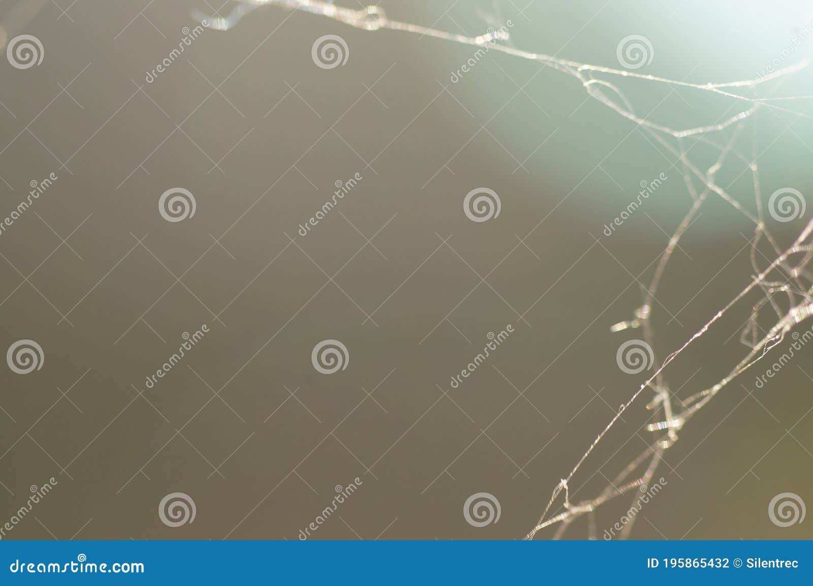 Abstract Grey Background with Pieces of an Old Cobweb for Helloween ...