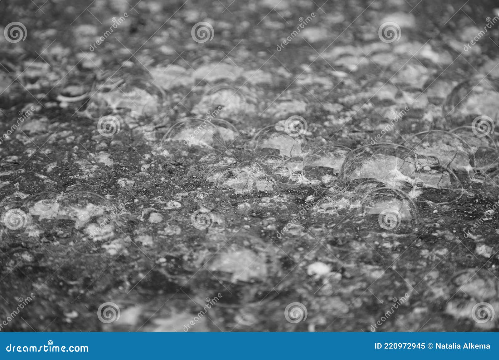 Abstract Grey Bubbles Background. Black and White Water Background ...