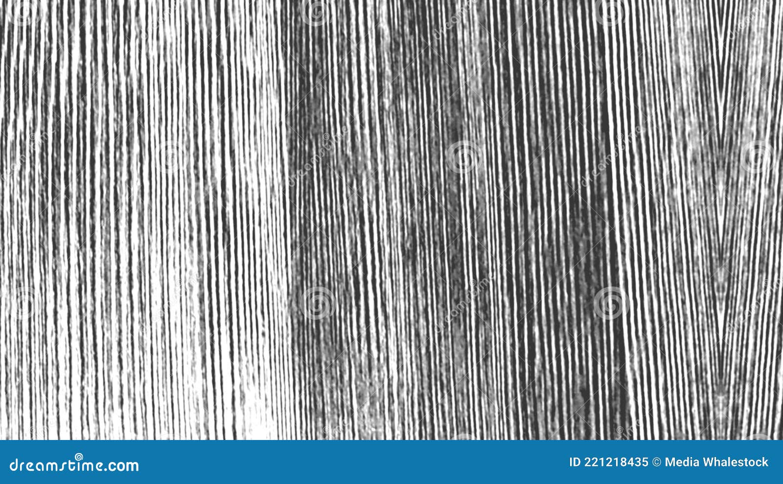 Abstract Grey Dust Particles Moving Chaotically on White Background ...