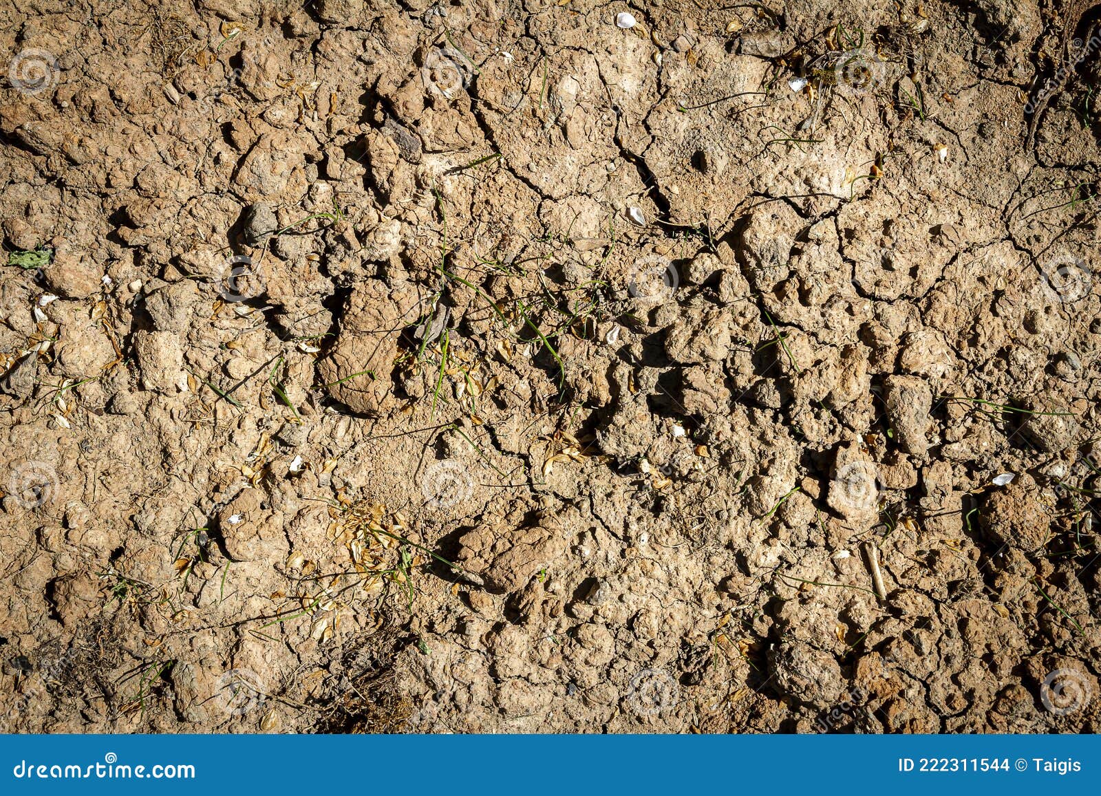 Abstract Ground Texture Background Stock Photo - Image of environmental ...