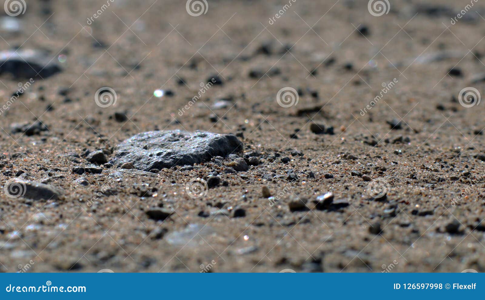 Abstract Ground Texture Background. Macro Photography. Stock Photo ...